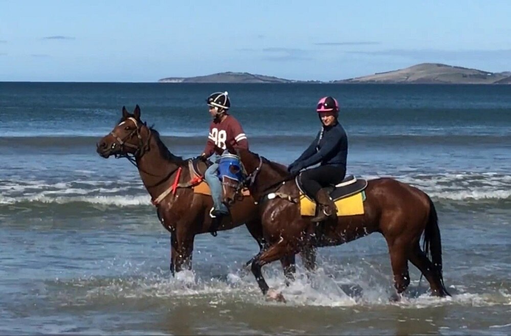 A big group of owners, a racehorse trainer and staff at the stables are ...