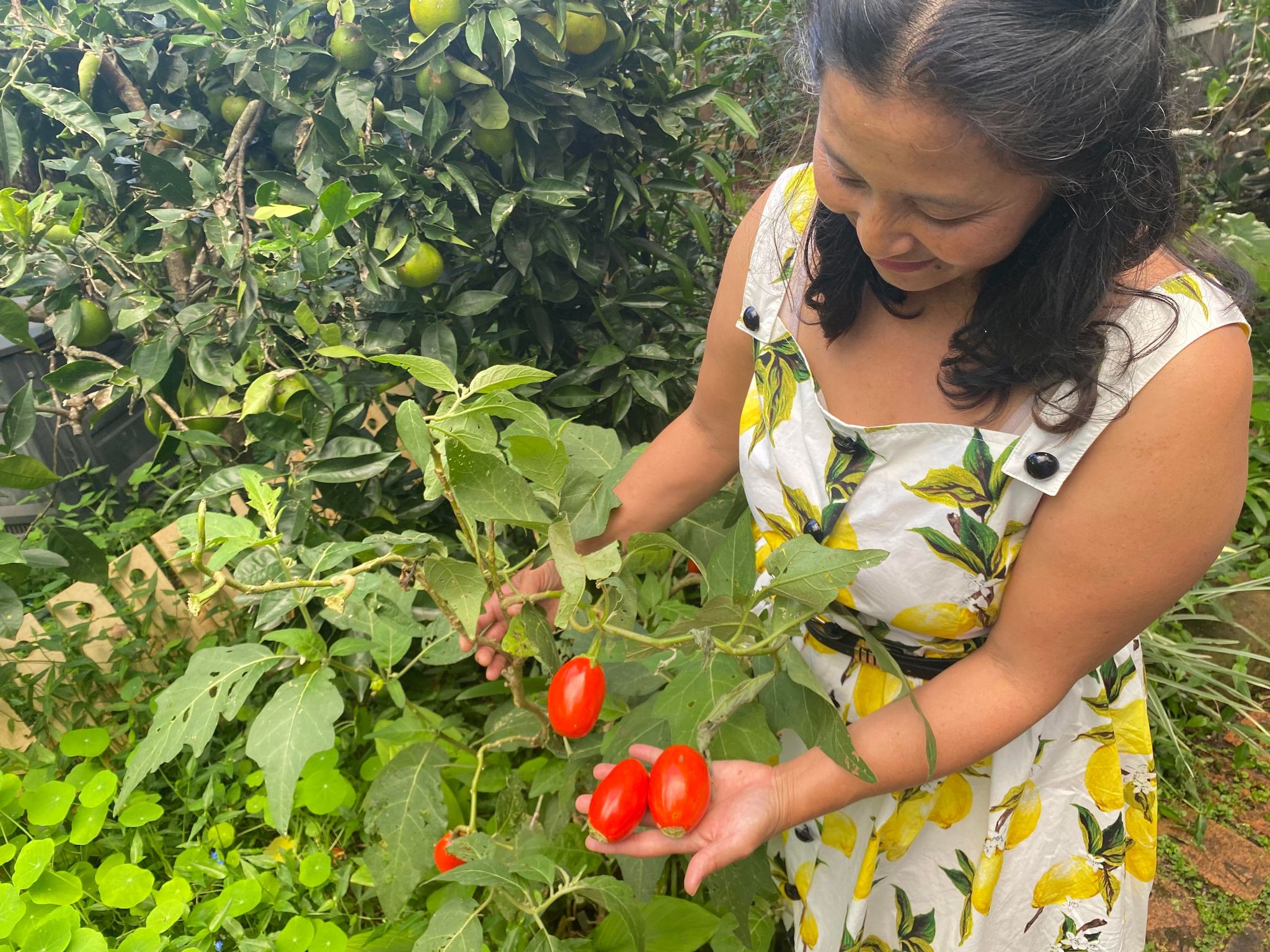 Homegrown produce and swap groups are breaking the supply chains that ...