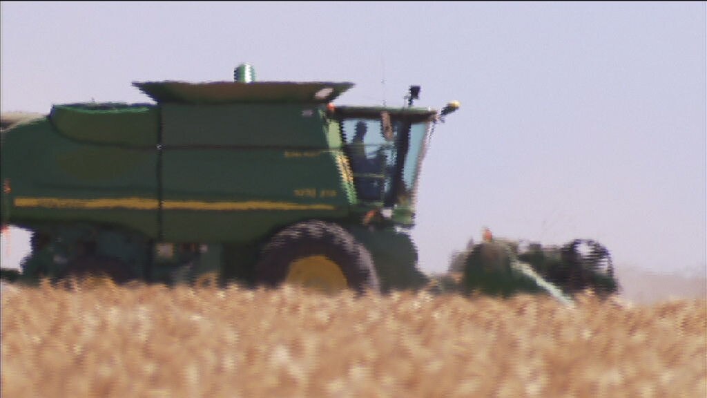 Weed Busters - ABC News