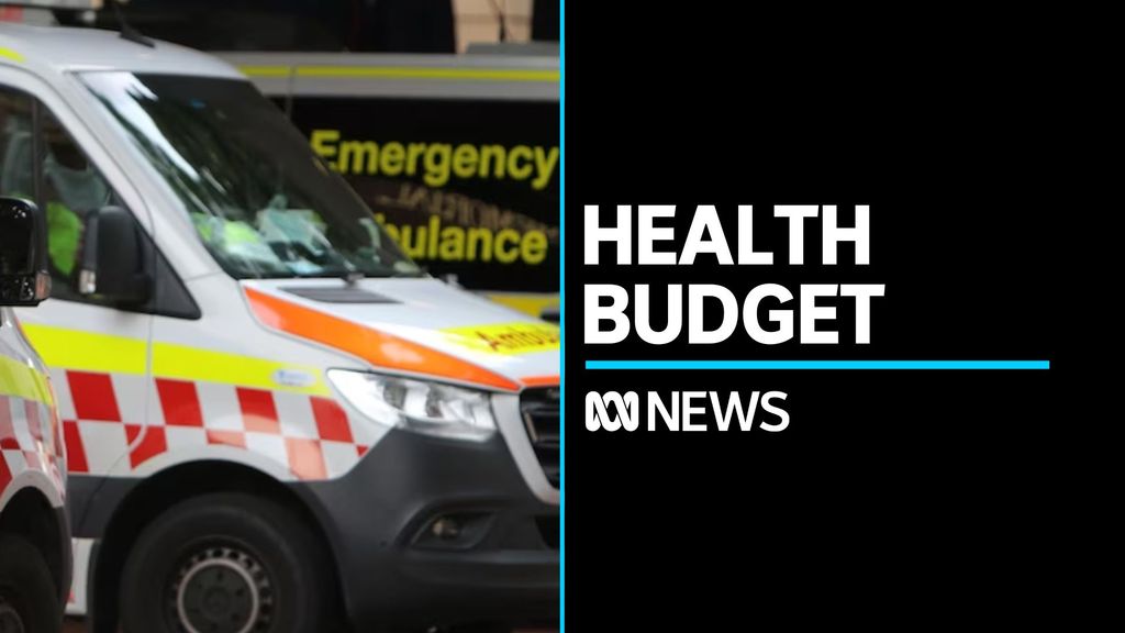 Doctors warn of hospital cuts amid inquiry into NSW health budget - ABC ...