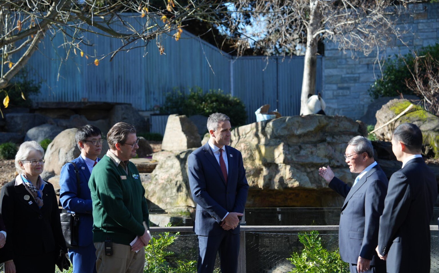 Two new pandas, Yi Lan and Xing Qiu, arrive in South Australia, but ...