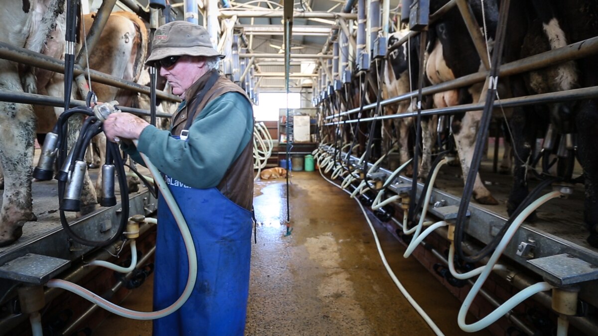 Nanneella - 3561 - Location - ABC News