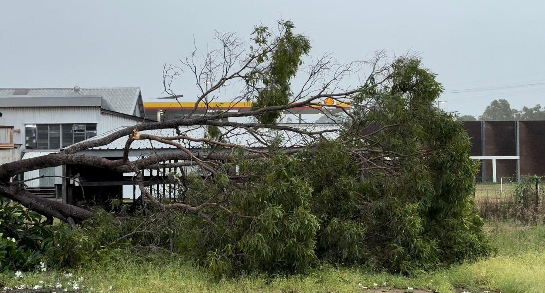 Cyclone Kirrily downgraded as it hits Queensland - ABC listen