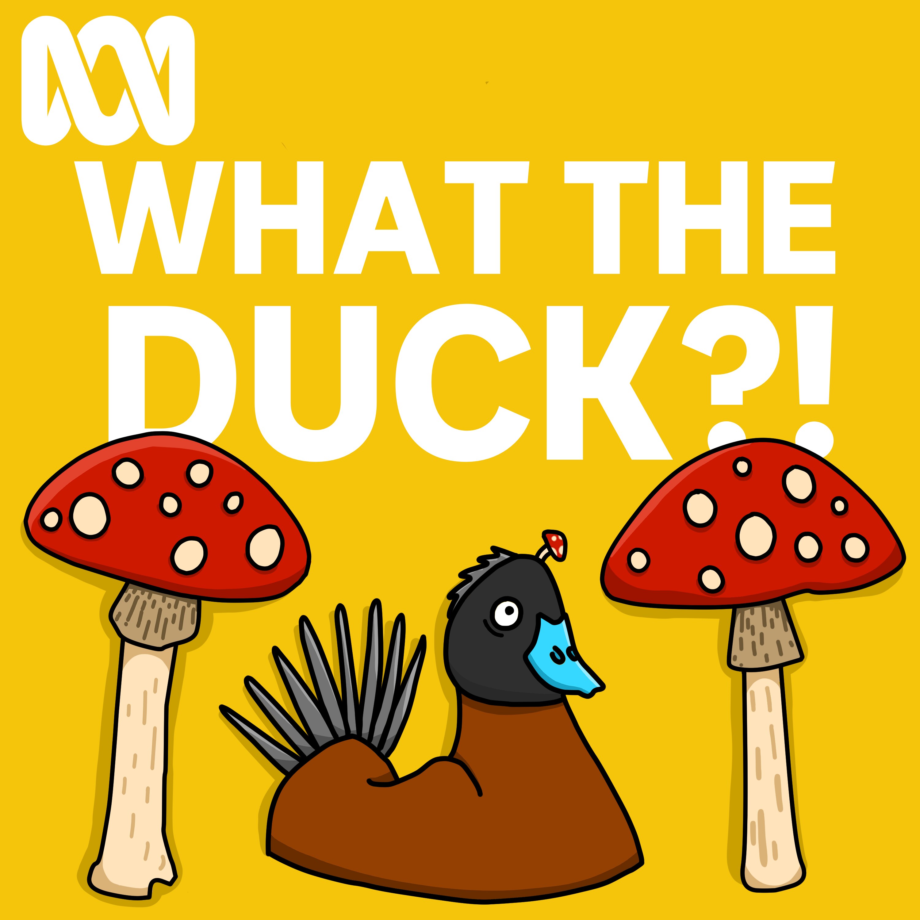 What The Duck?! with Ann Jones - ABC listen