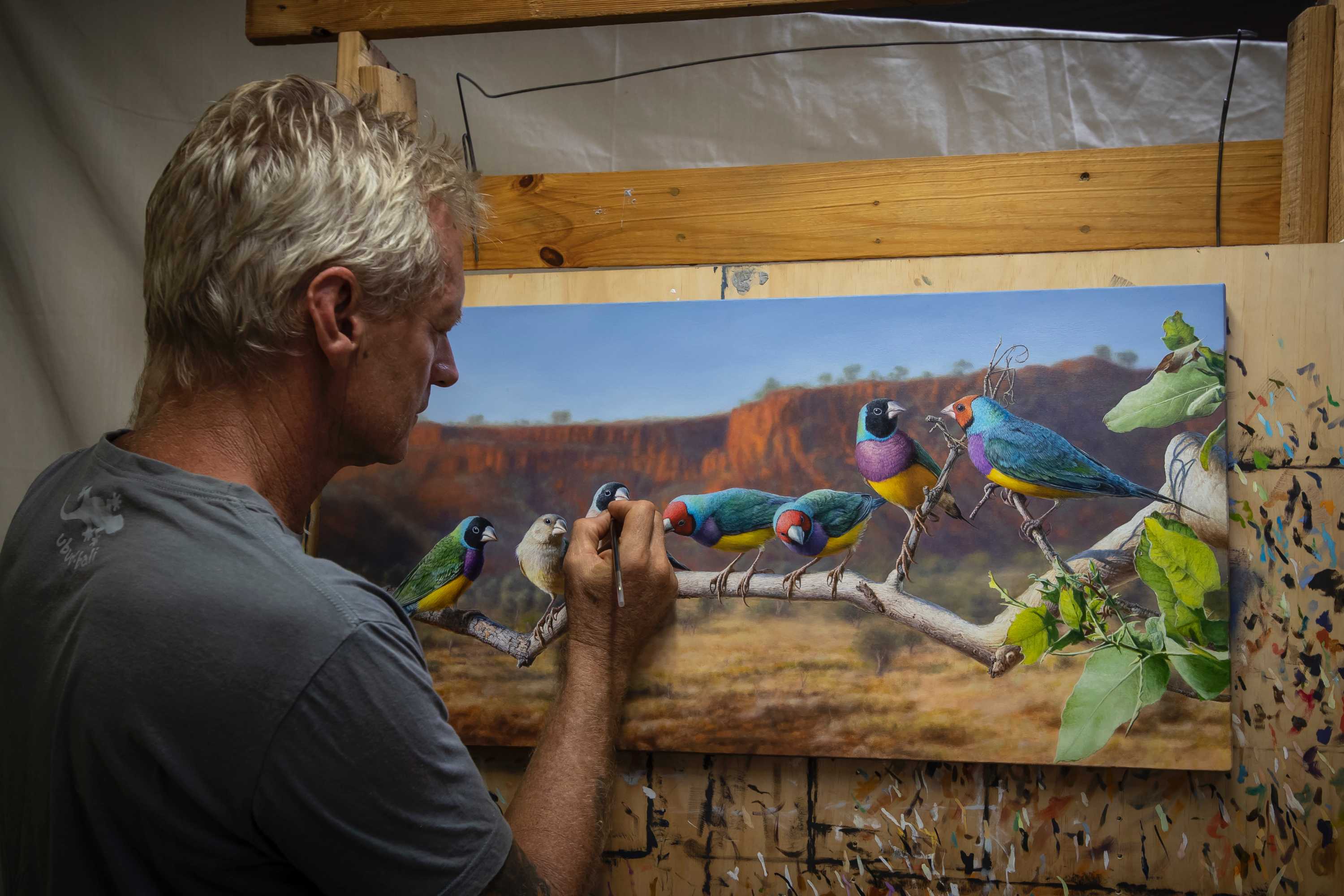 East Kimberley bird artist Greg Postle tries to bring his paintings to ...