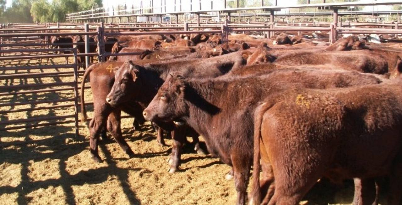 Countrywide - ABC listen