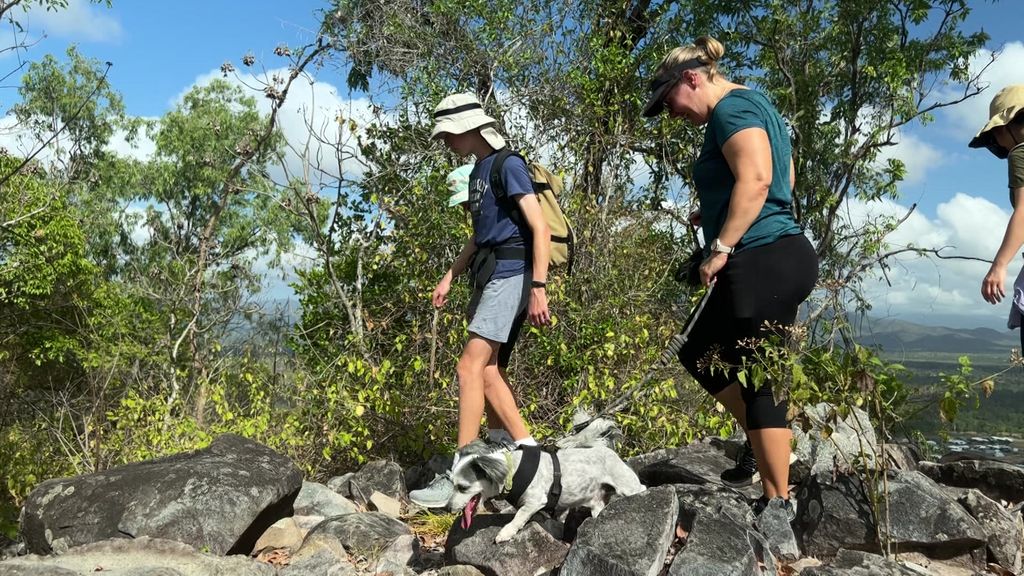 Bushwalking boom - ABC News