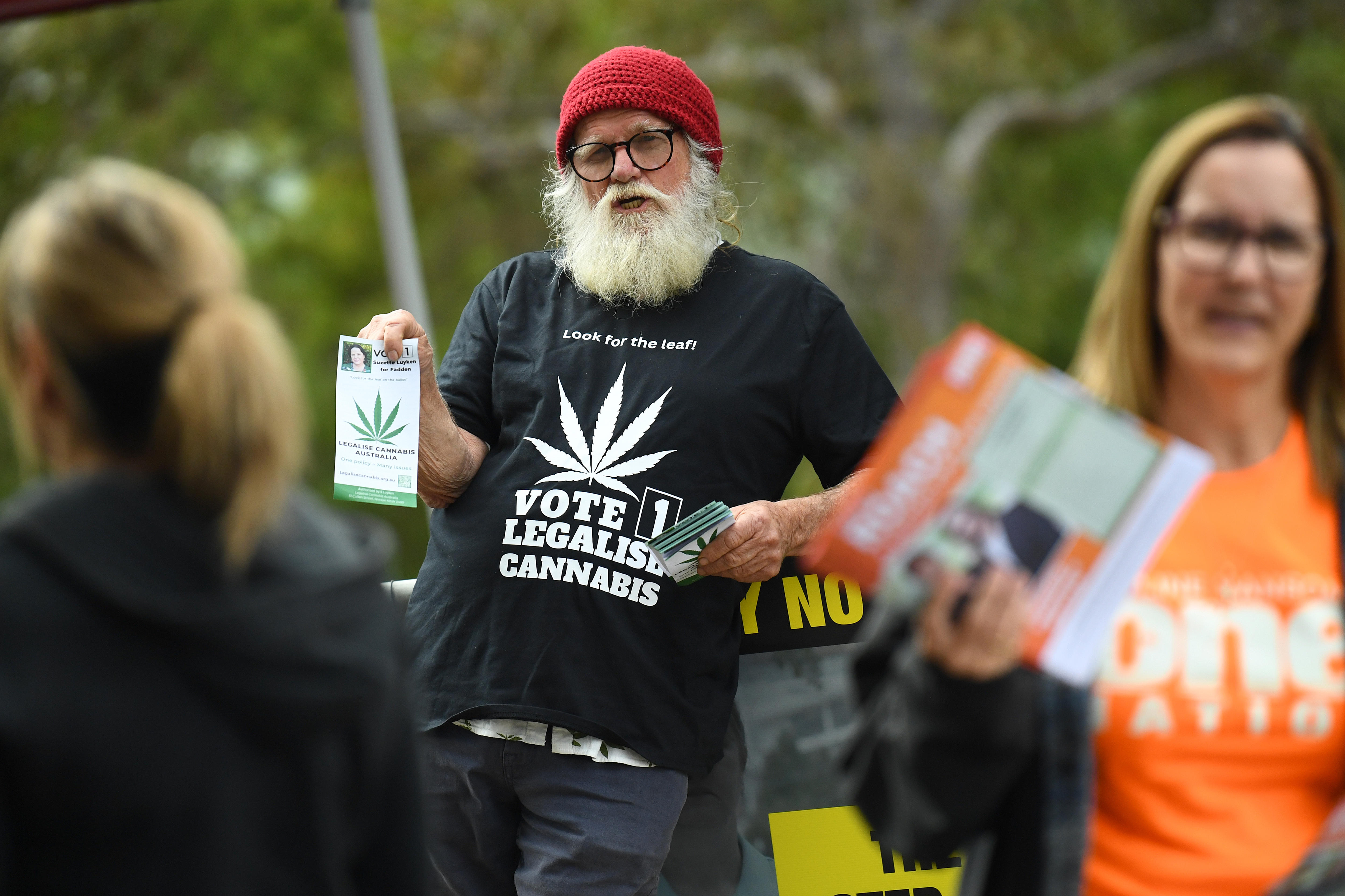 Labor preferences Legalise Cannabis Queensland ahead of Greens in 28 ...