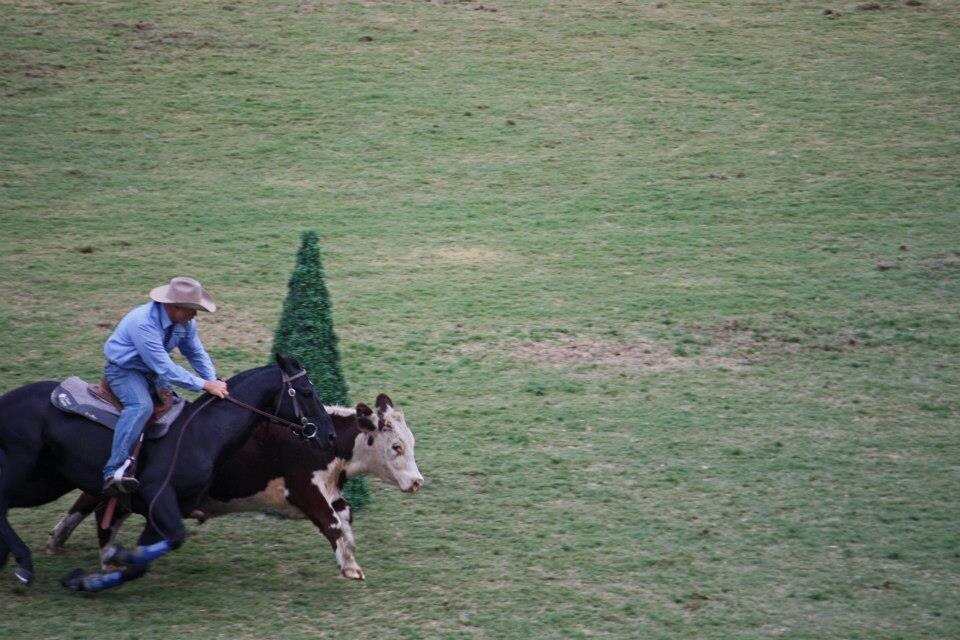 NSW Country Hour - ABC listen