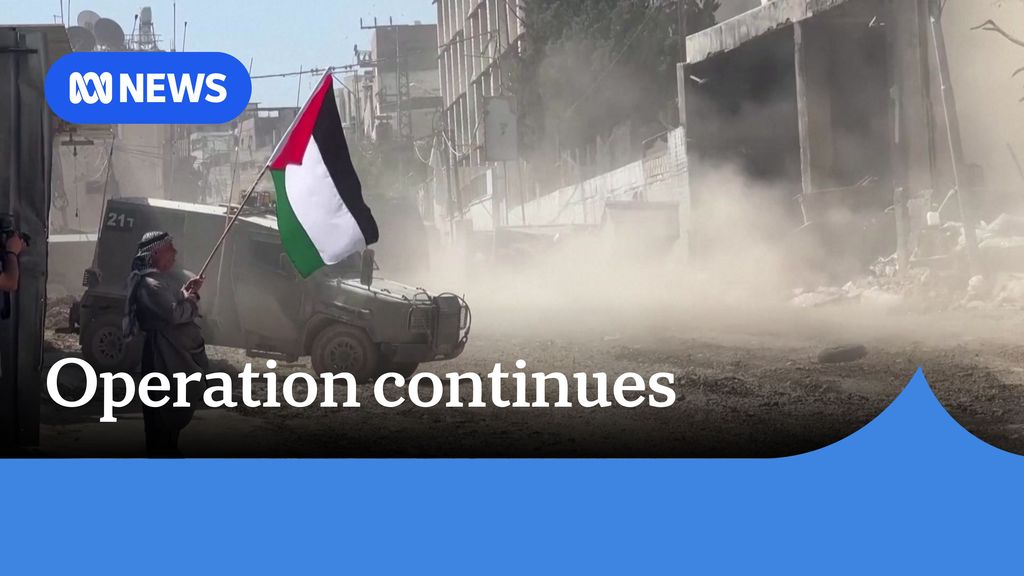 Dashcam footage shows a koala running across a road - ABC News