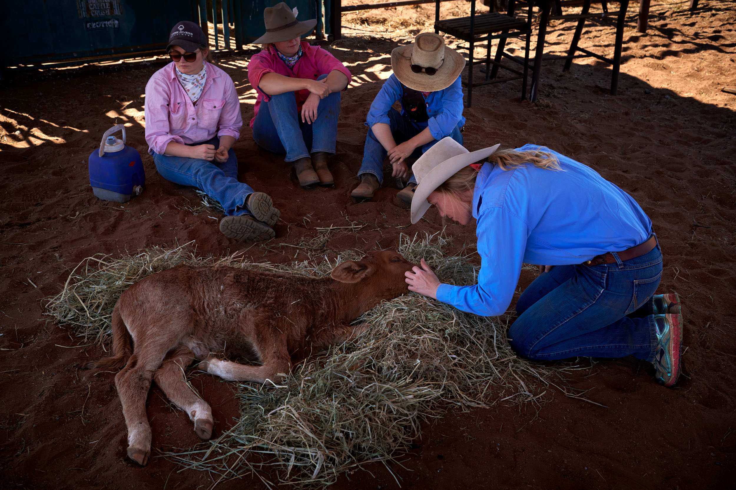 Not a farmer's wife - ABC News