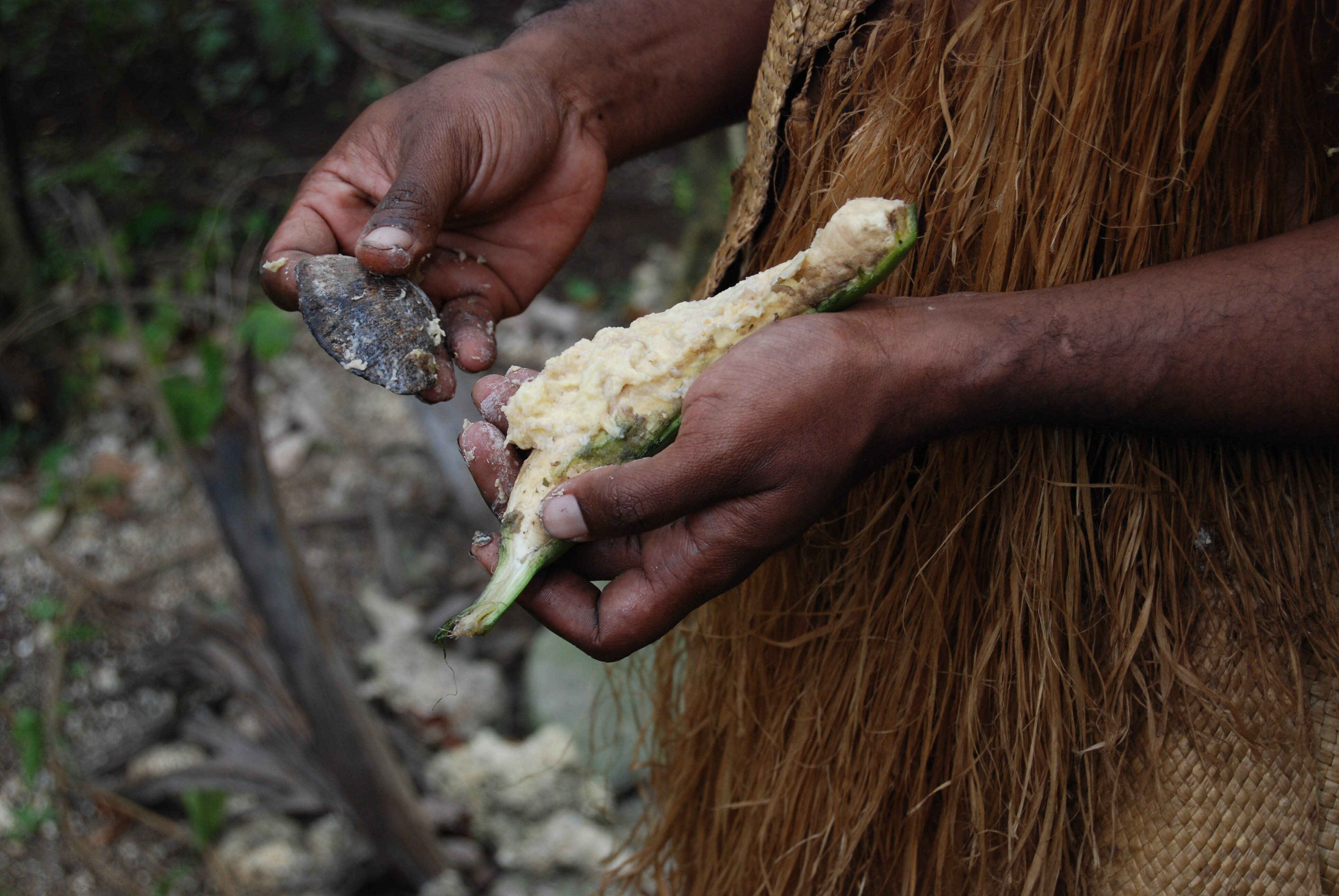 Taking a closer look at a traditional food preservation method has ...