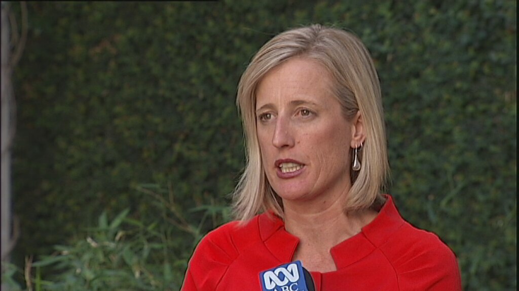 Proposed changes for mental health emergencies - ABC News