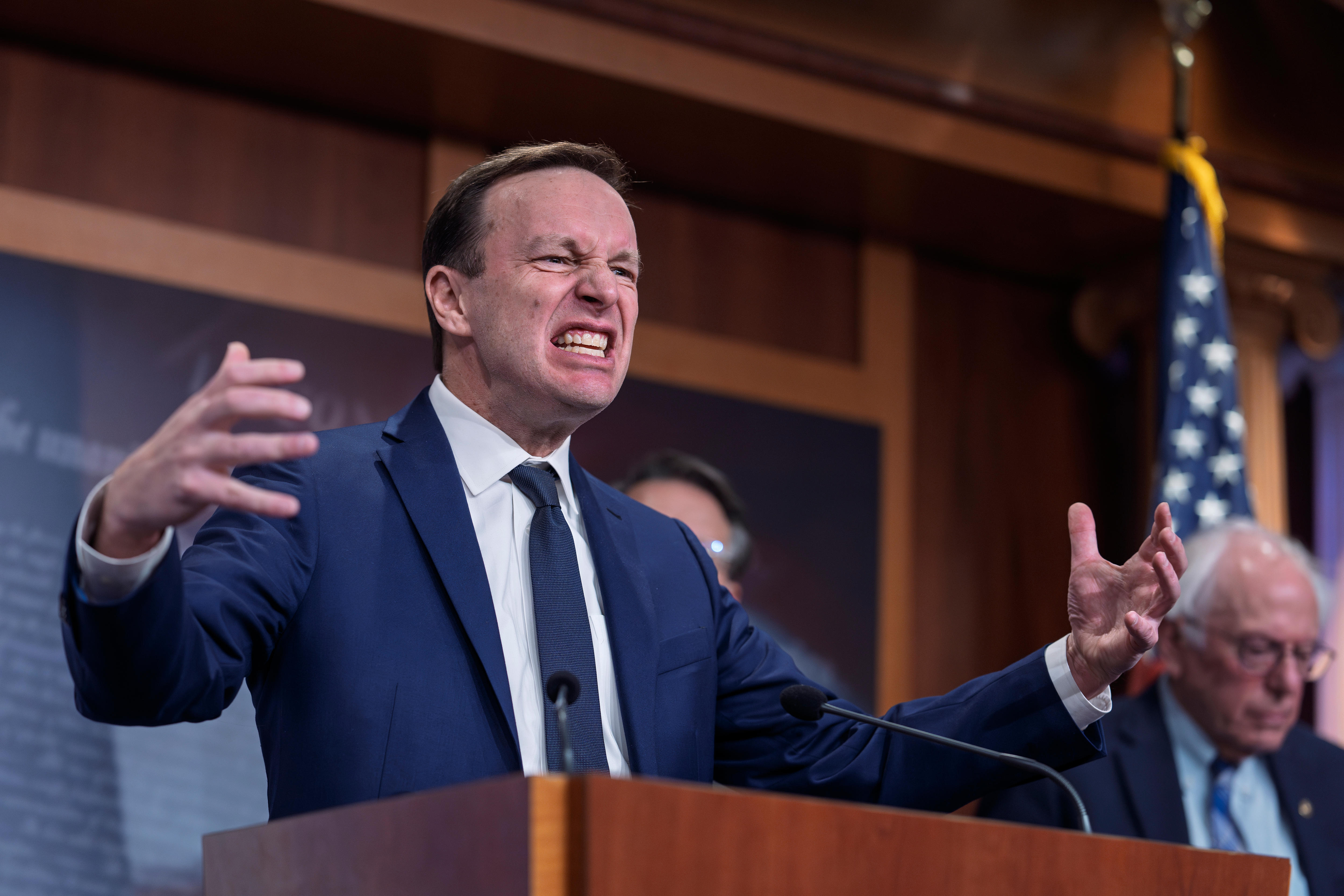 Democratic senators want an investigation into potential market ...