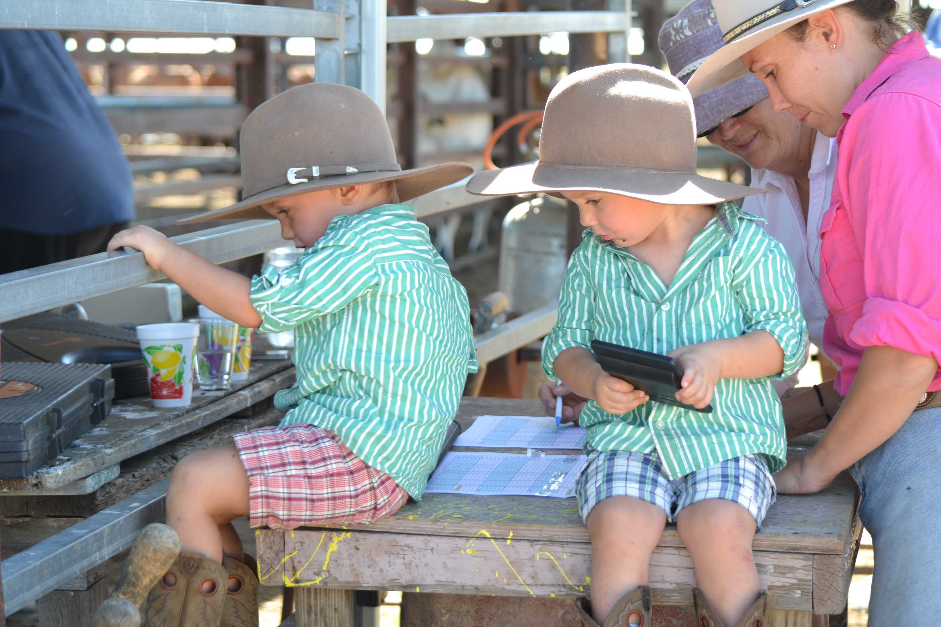 Education key to attracting youth to agriculture - ABC News