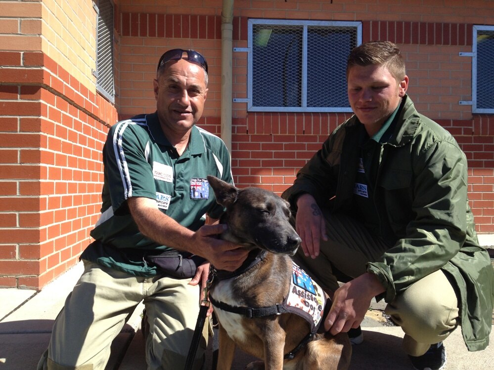 Inmates use abandoned dogs to make a difference for war veterans - ABC News