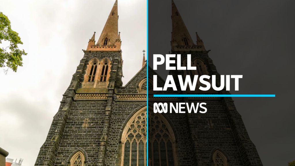 Orangutan conservationist Lone Droscher speaks with ABC News Breakfast