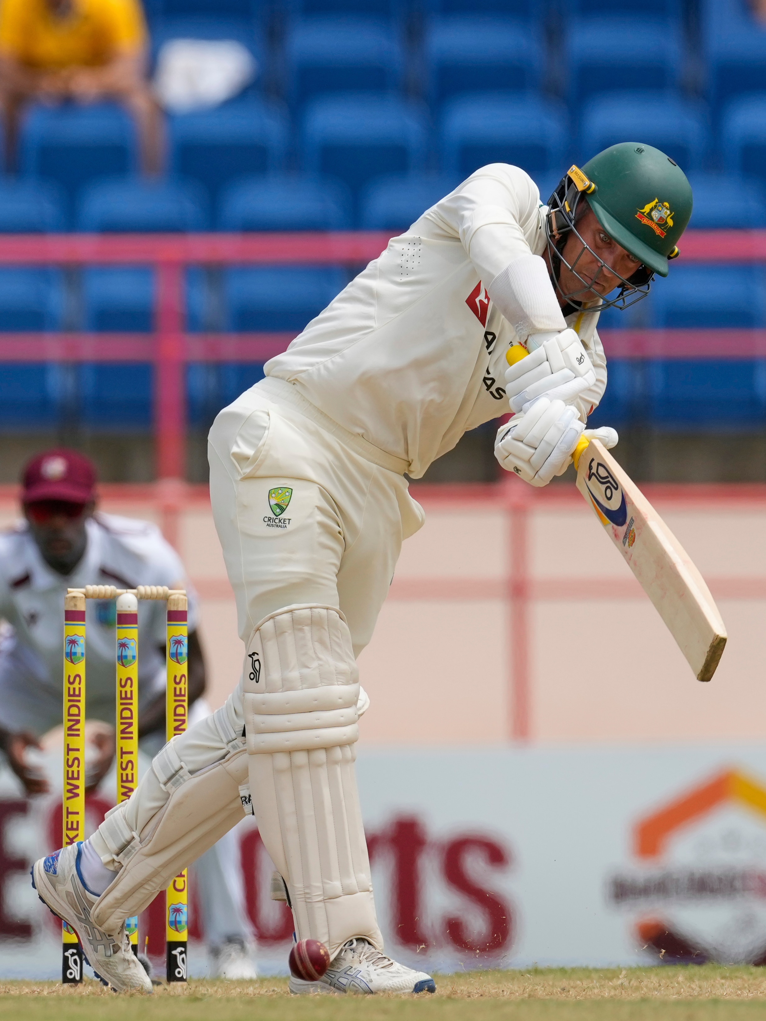 Wool world record: 40kg fleece shorn off overgrown sheep in Canberra ...