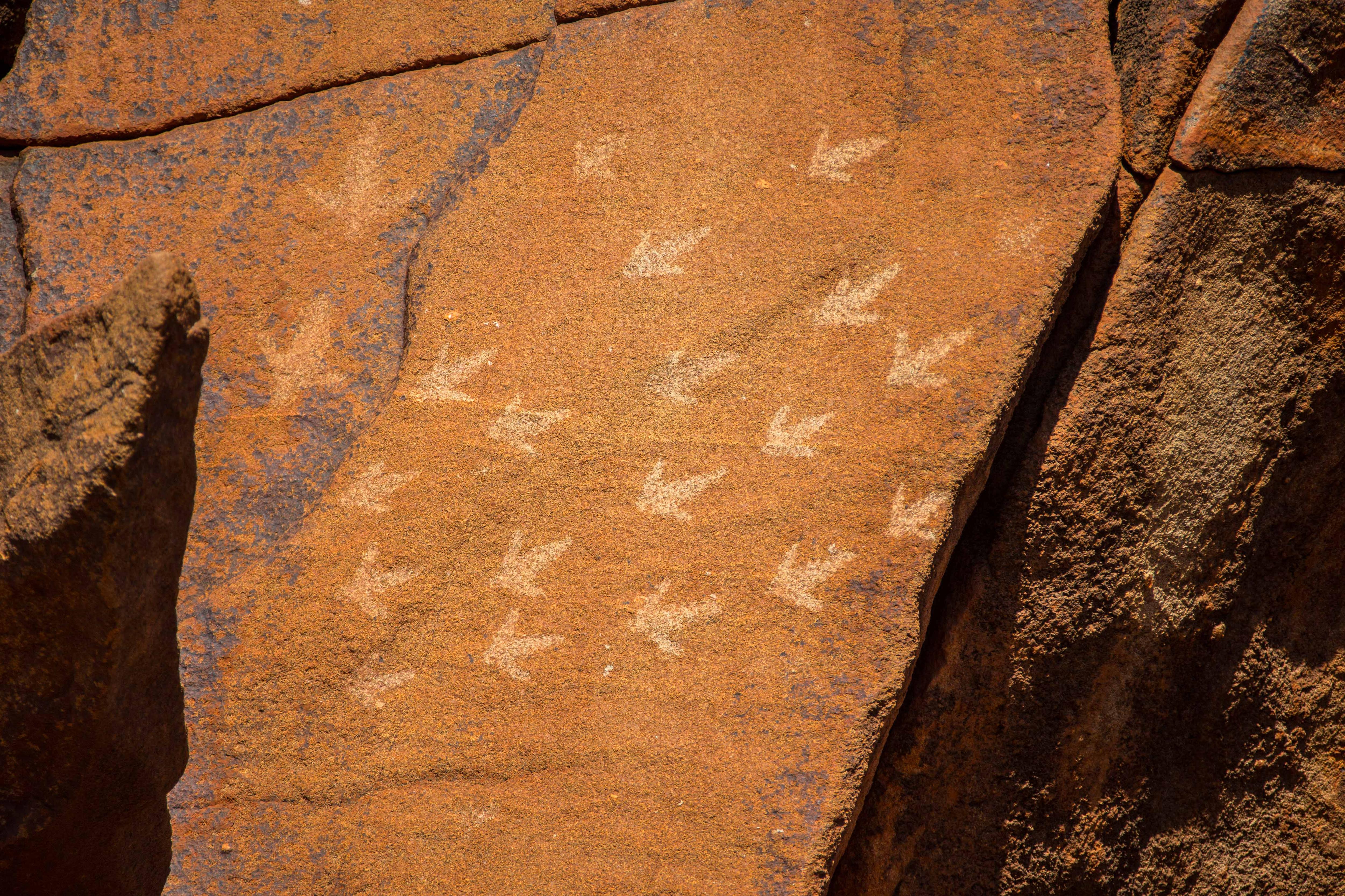 Murujuga Rock Art Monitoring Program releases interim report into ...