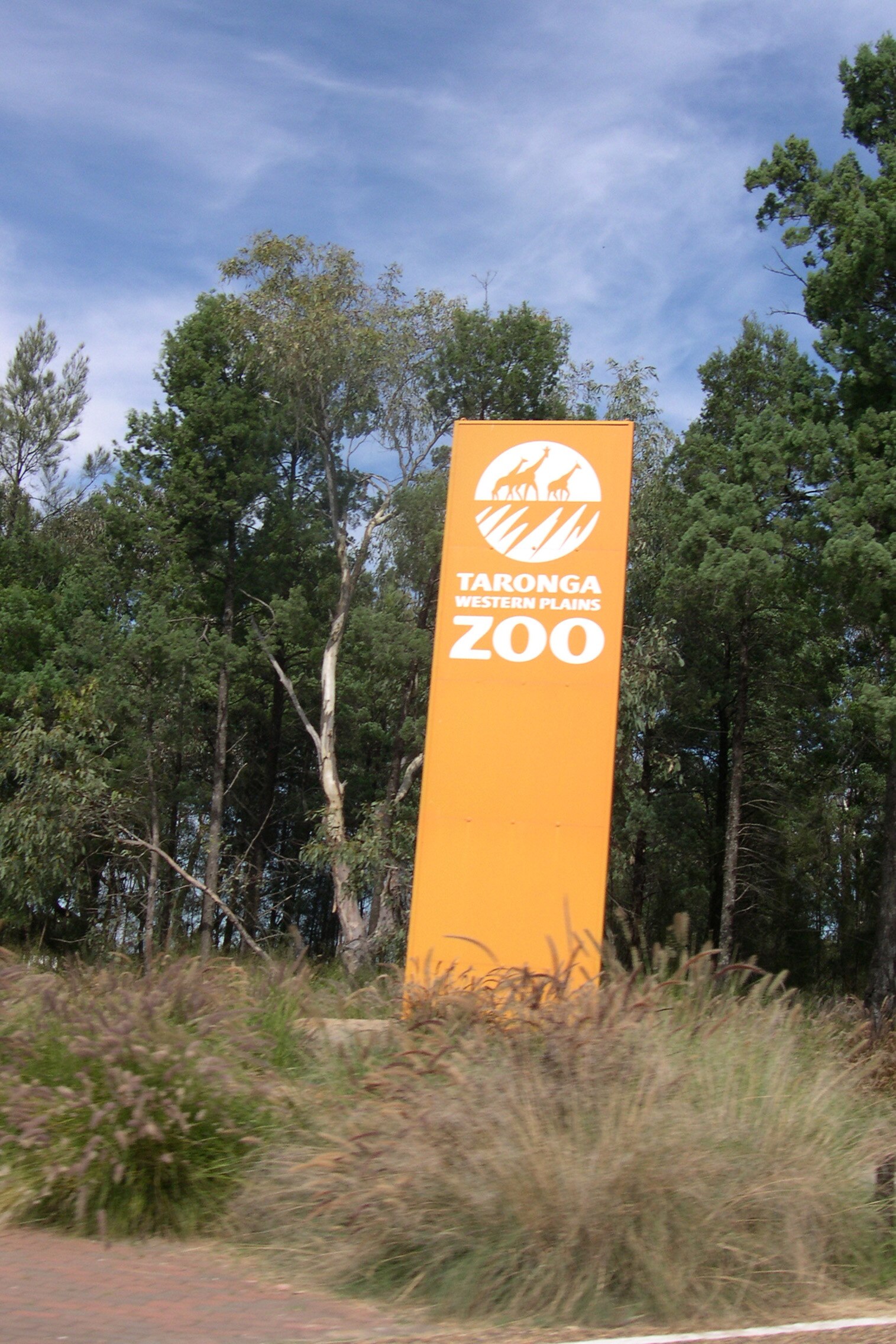 Giraffe to join Dubbo zoo breeding program - ABC News