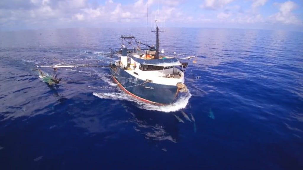 ByCatch: A device to reduce bycatch has the fishing industry buzzing ...