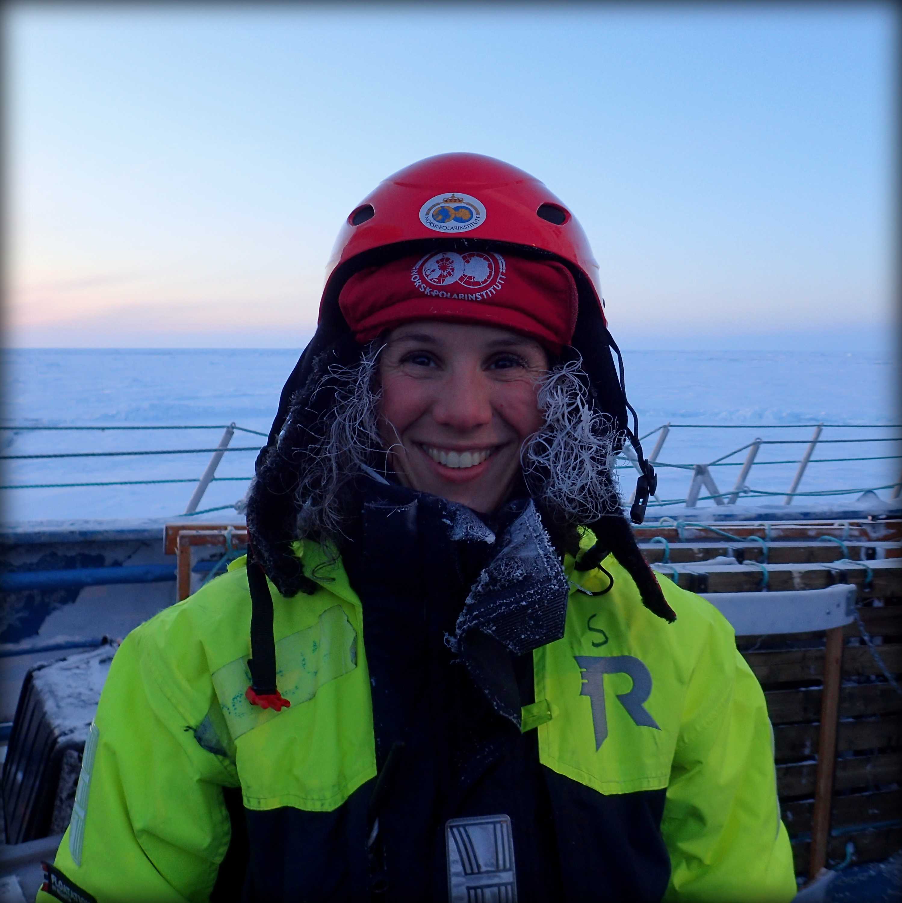 Arctic a danger zone for scientist trying to unravel disappearing ice ...