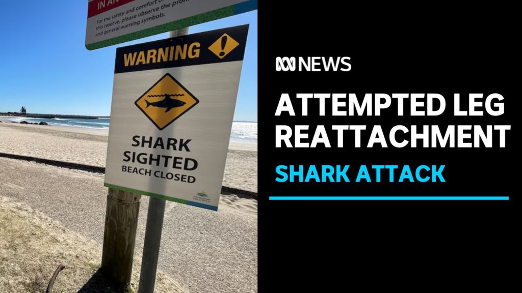 Police announce murder investigation breakthrough for 1979 murder - ABC ...