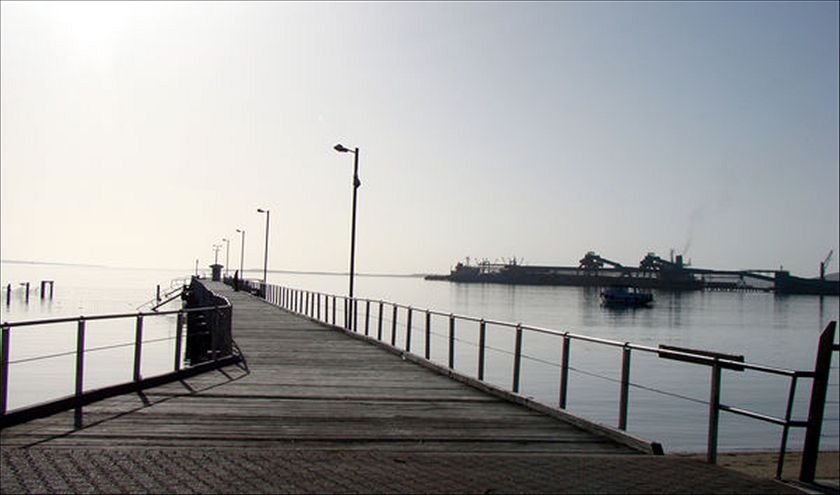 Mangrove Point seafood pie - ABC News
