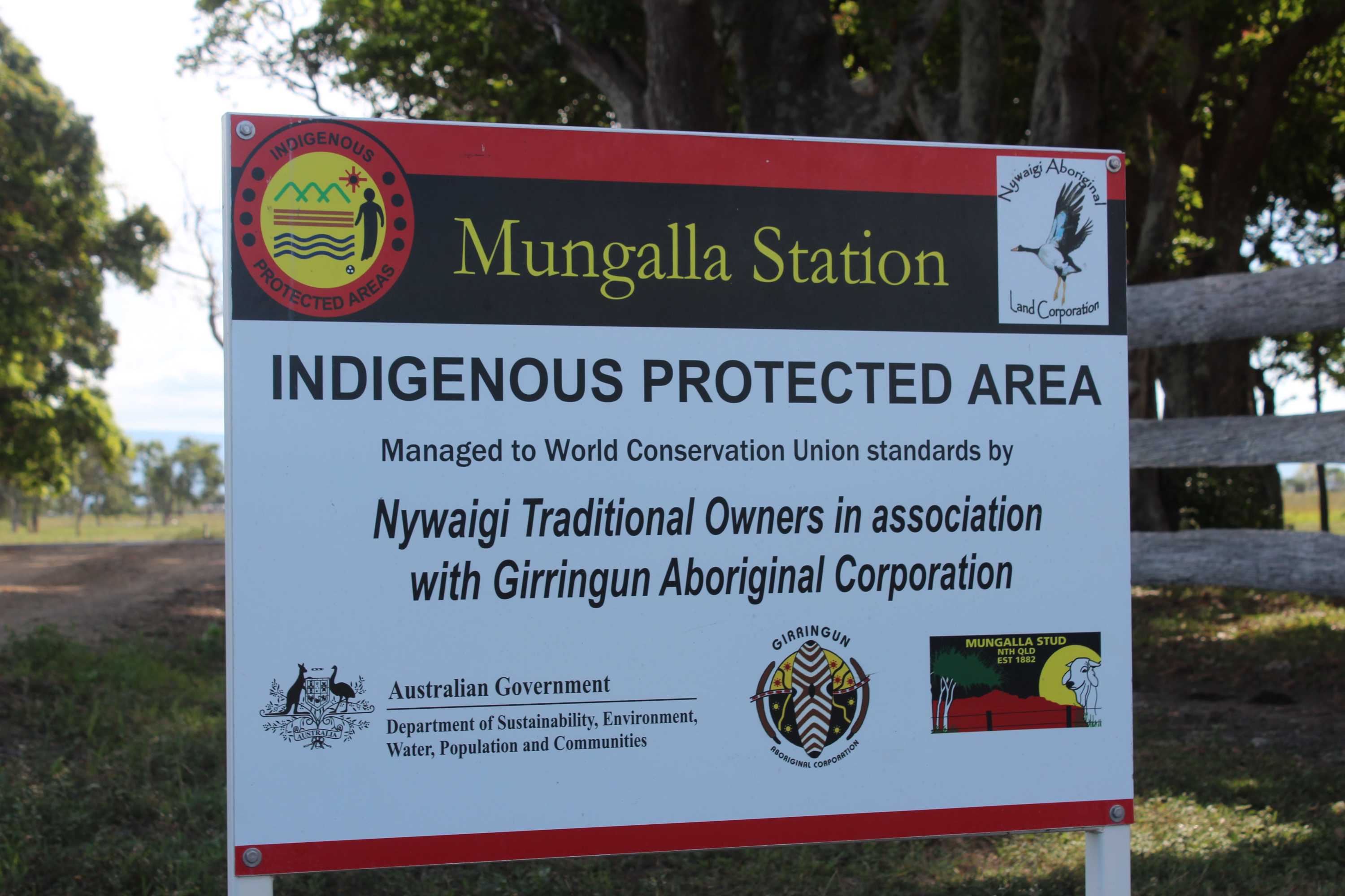 Traditional owners tackle wetland weeds on historic Mungalla Station ...