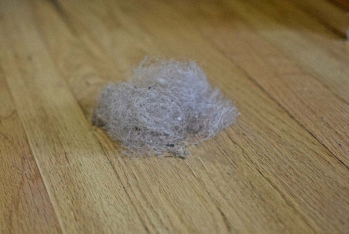 Dust. What it tells you about your home - ABC listen