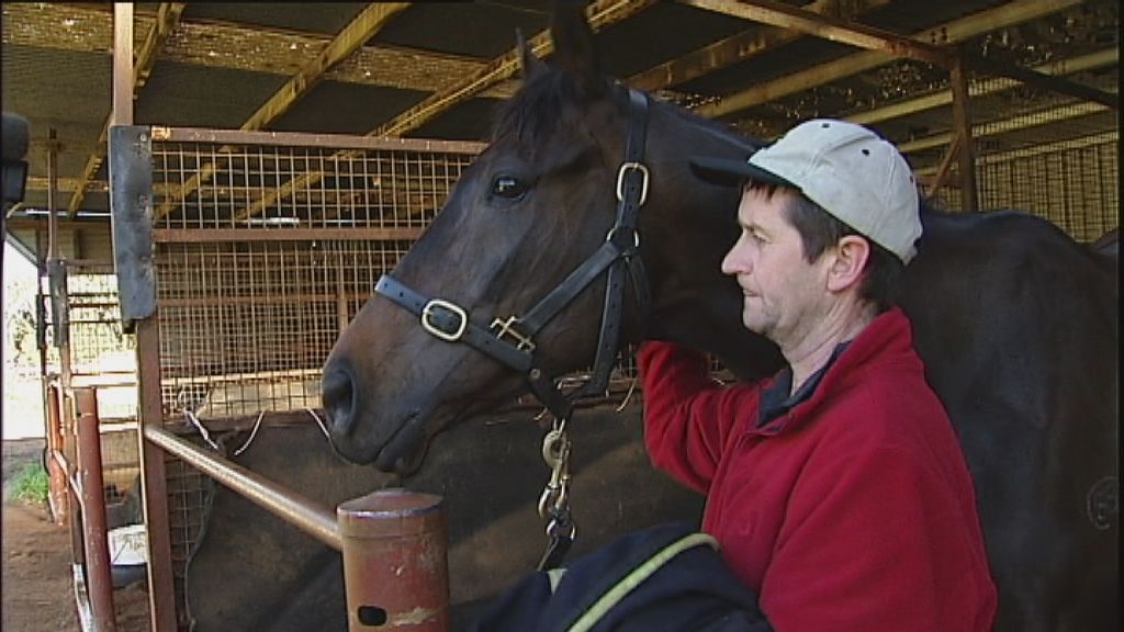 A $7,000 bush track jumper gets a start in one of Australia's richest ...