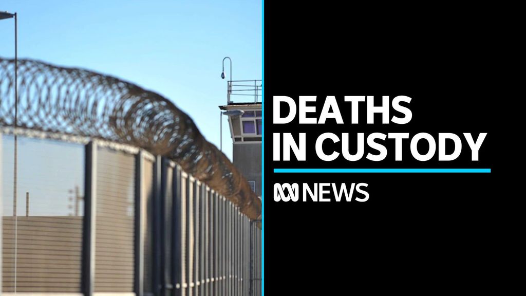 Real-time reporting of deaths in custody to improve 'transparency ...