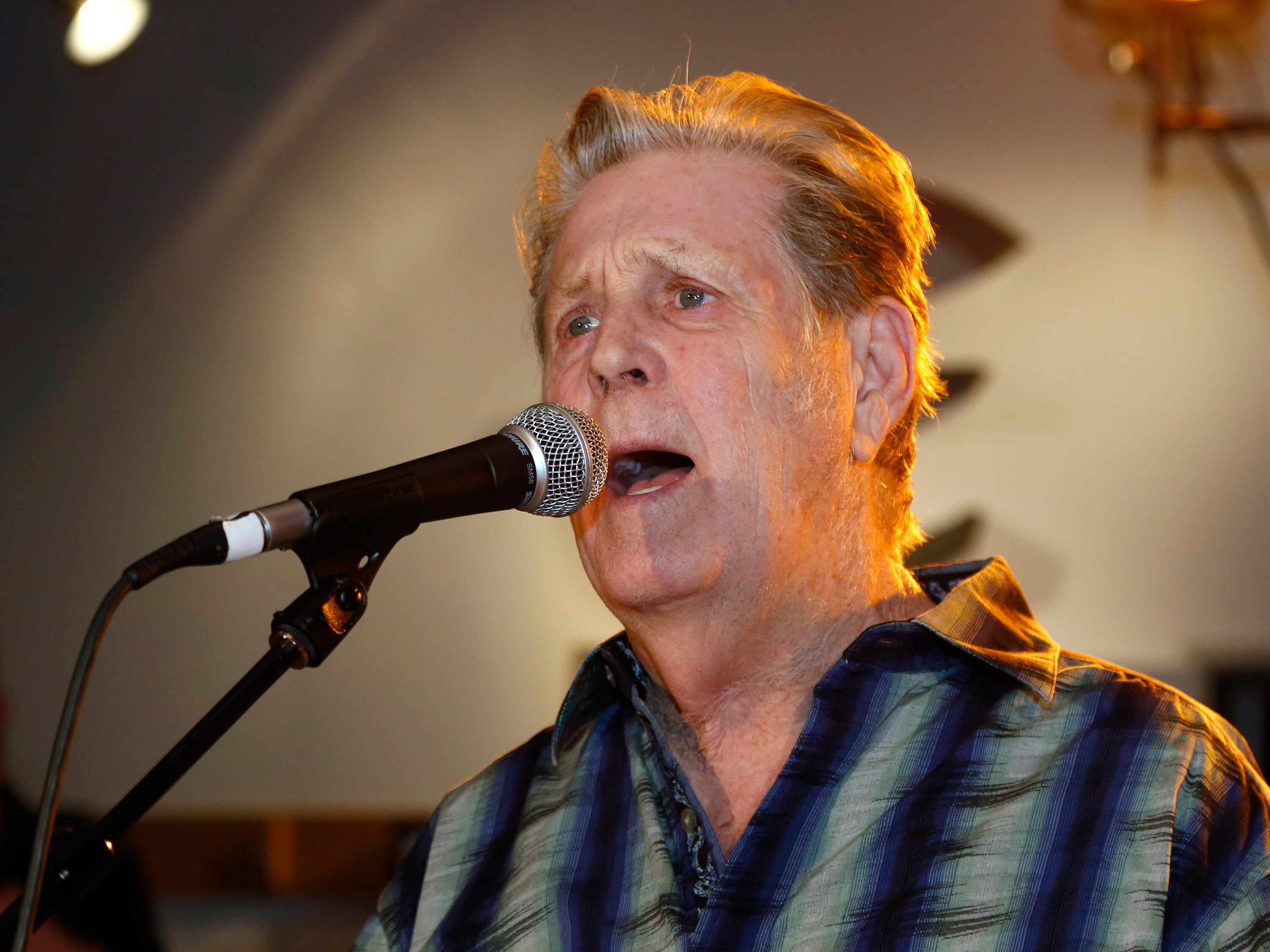 Brian Wilson, the visionary behind the Beach Boys, was an admired but ...