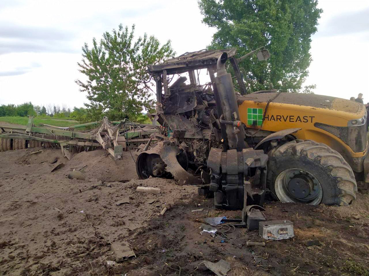 Ukraine's crop forecast falls as farmers struggle with paddocks seeded ...