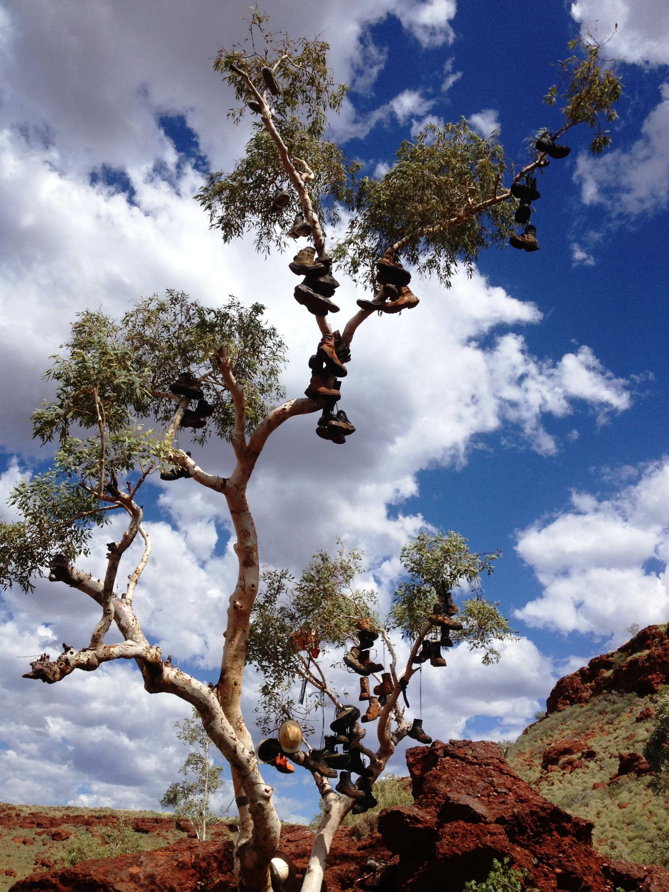 Rural Reporter - ABC listen