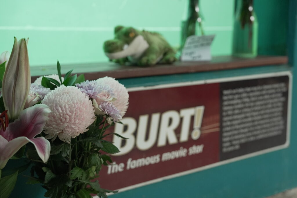 Celebrity crocodile Burt, of Crocodile Dundee fame, dies at Crocosaurus ...