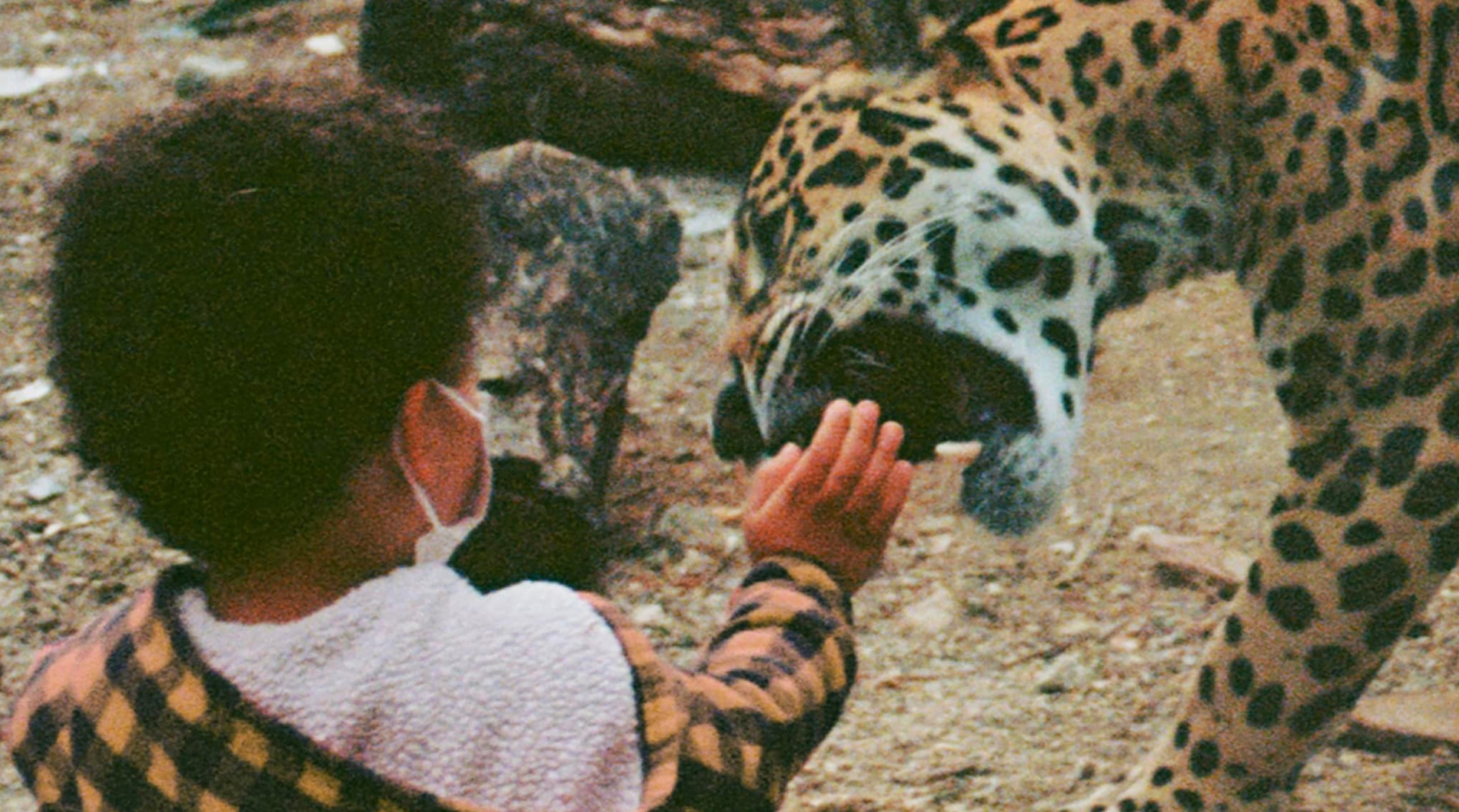 Unknown Mortal Orchestra's back with more excellent "weirdo pop" on ...