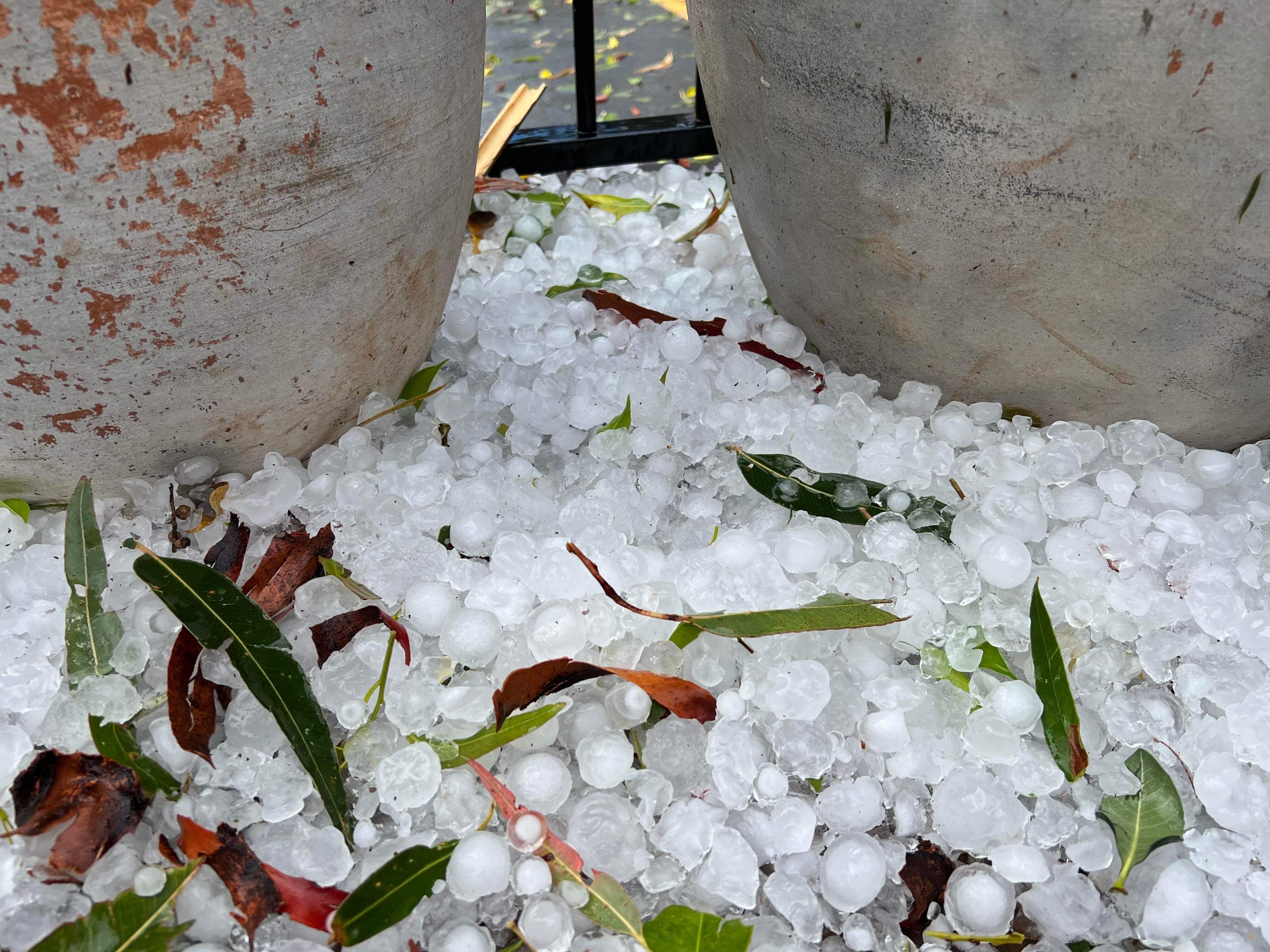 Port Macquarie battered by sudden hail storm, as wild weather hits NSW ...