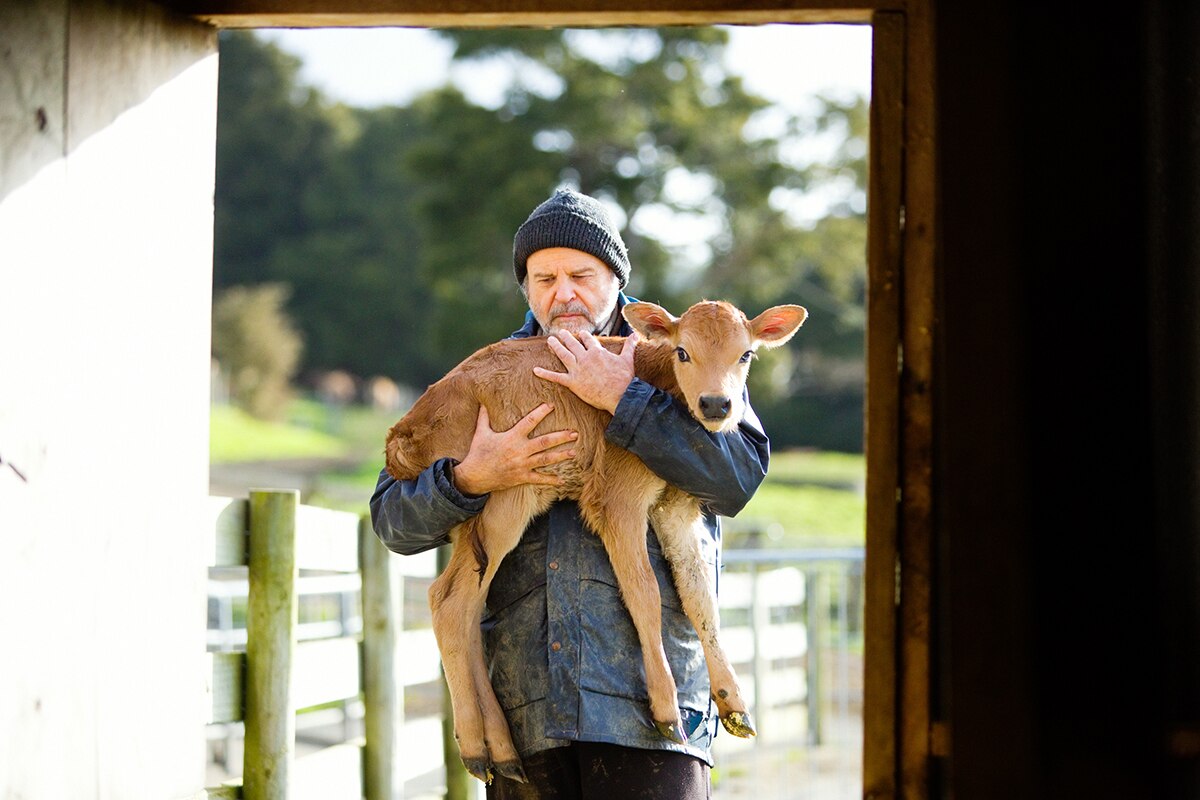 New Zealand comedy Bellbird explores men's mental health and importance ...