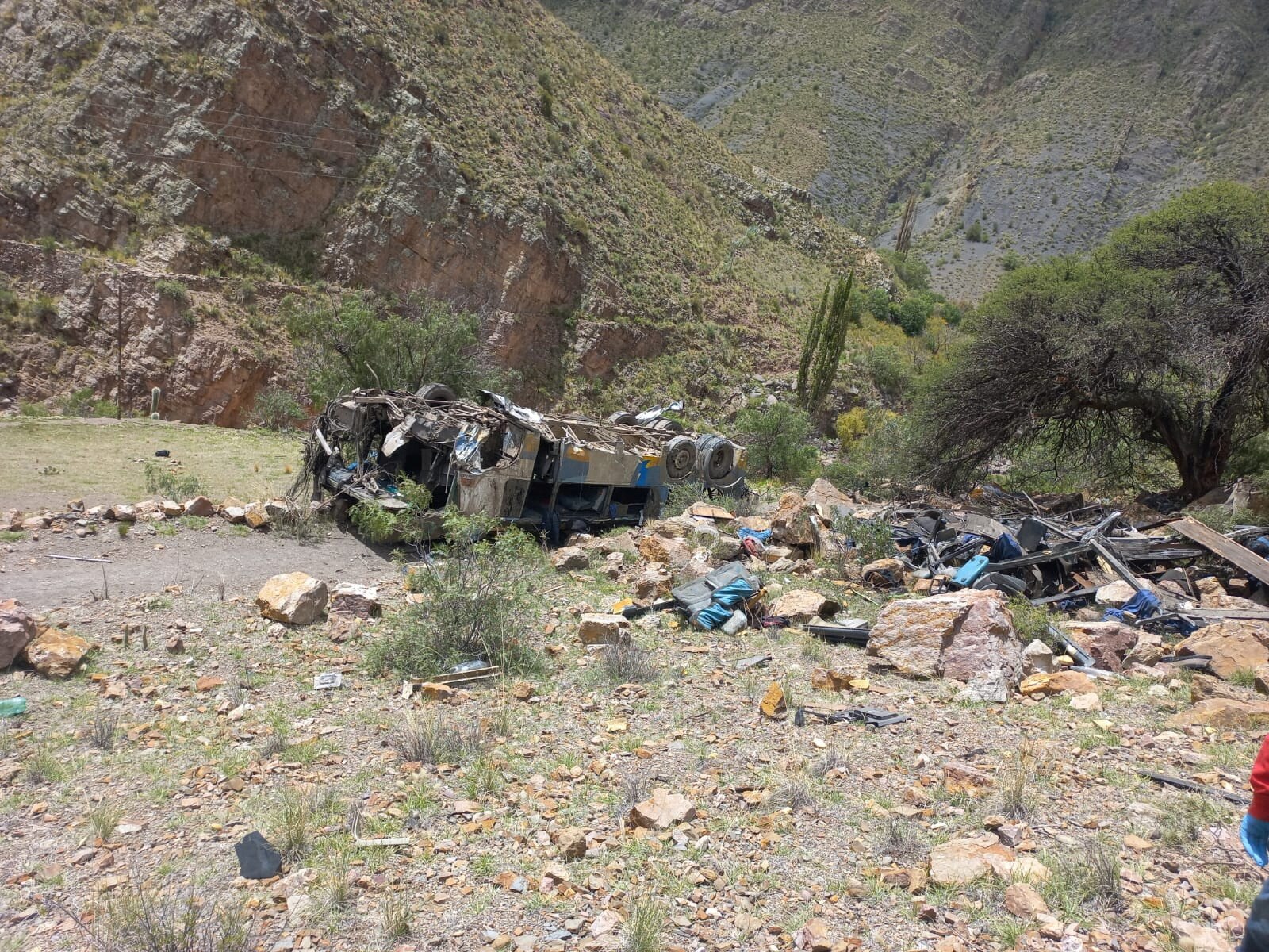 At least 30 killed as bus plunges 800 metres off Bolivian cliff - ABC News