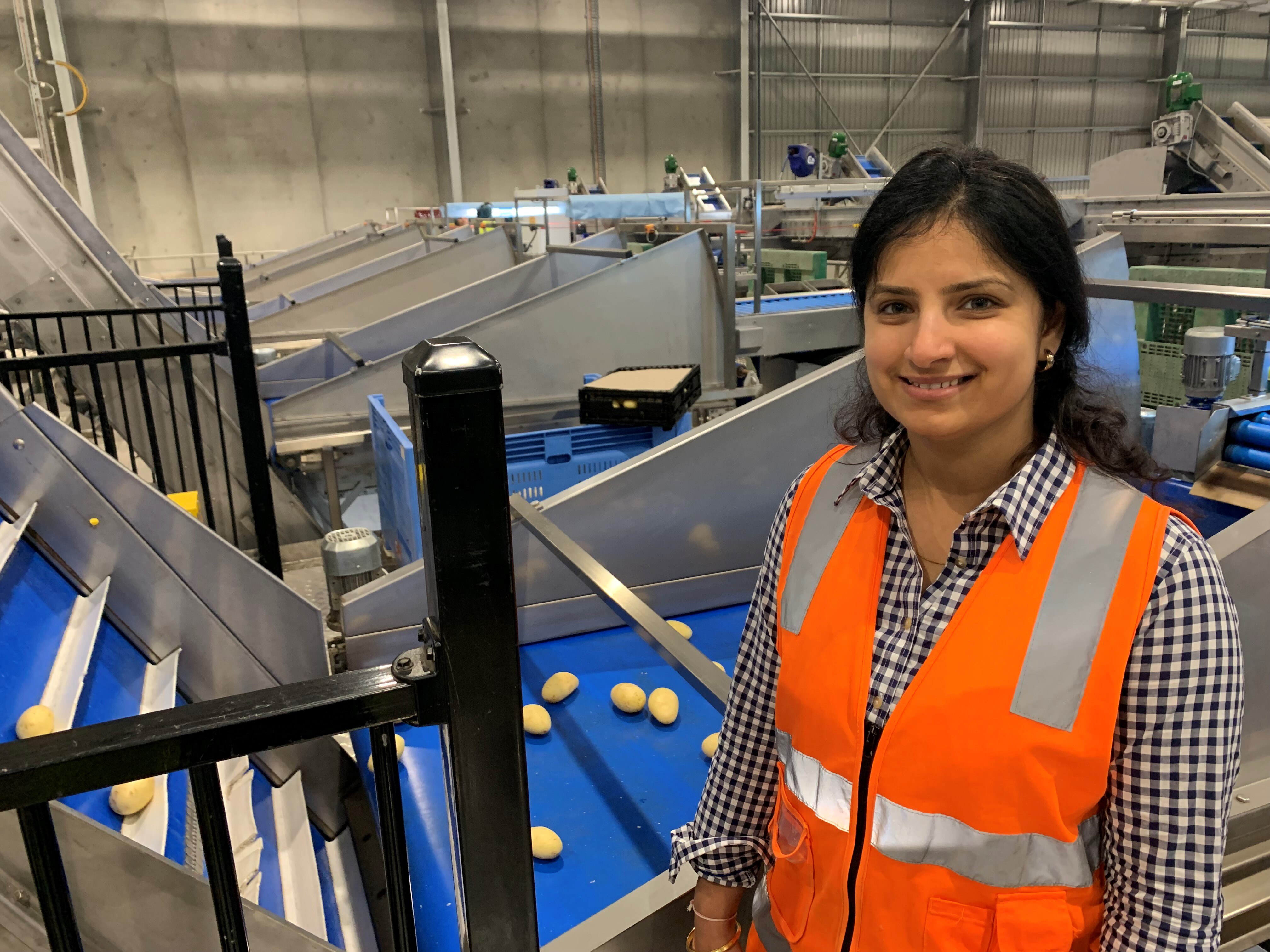 Pye Group doubles potato production with $45 million Parilla packing ...