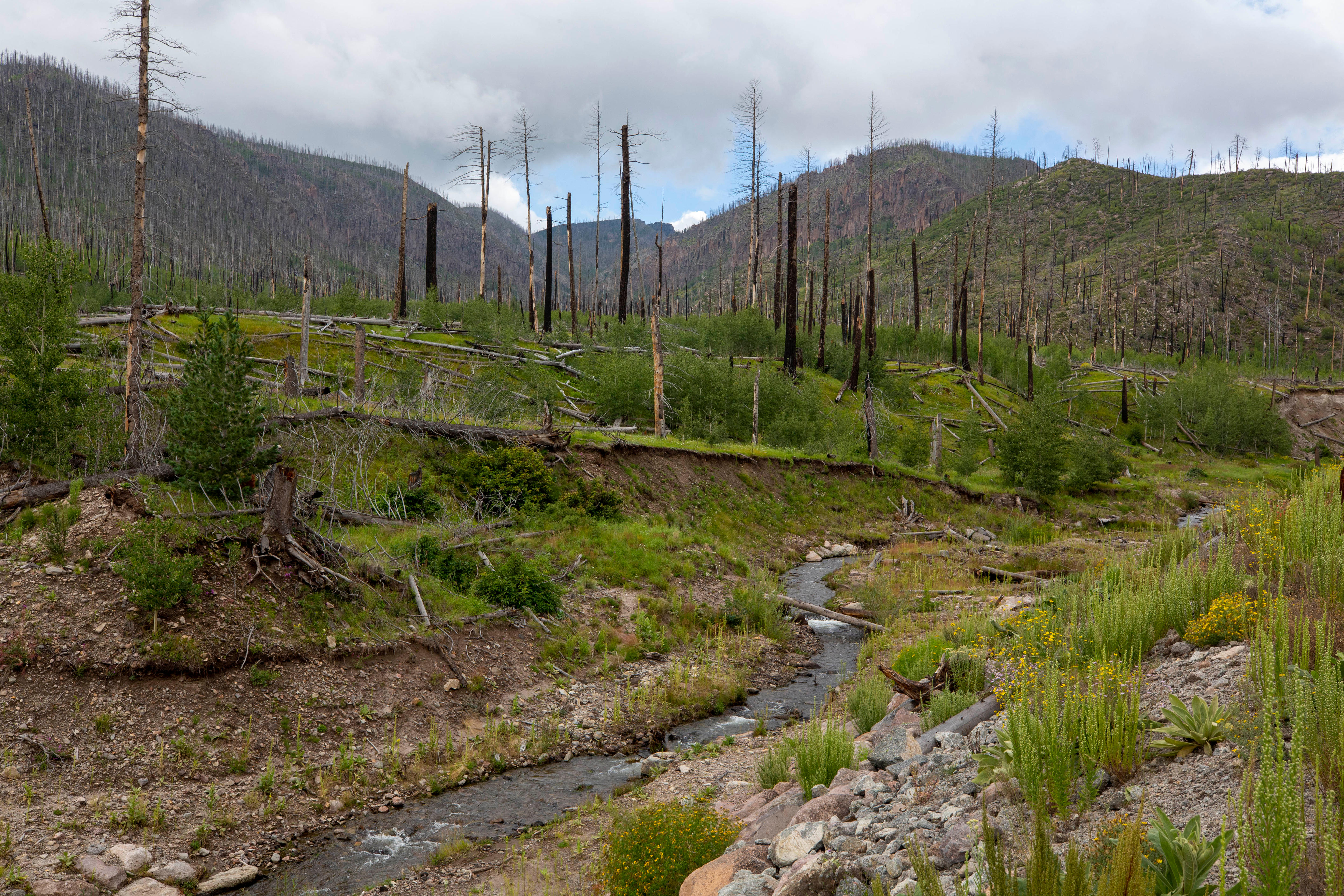 Tewa tribe in New Mexico seeks to adapt as climate change alters ...