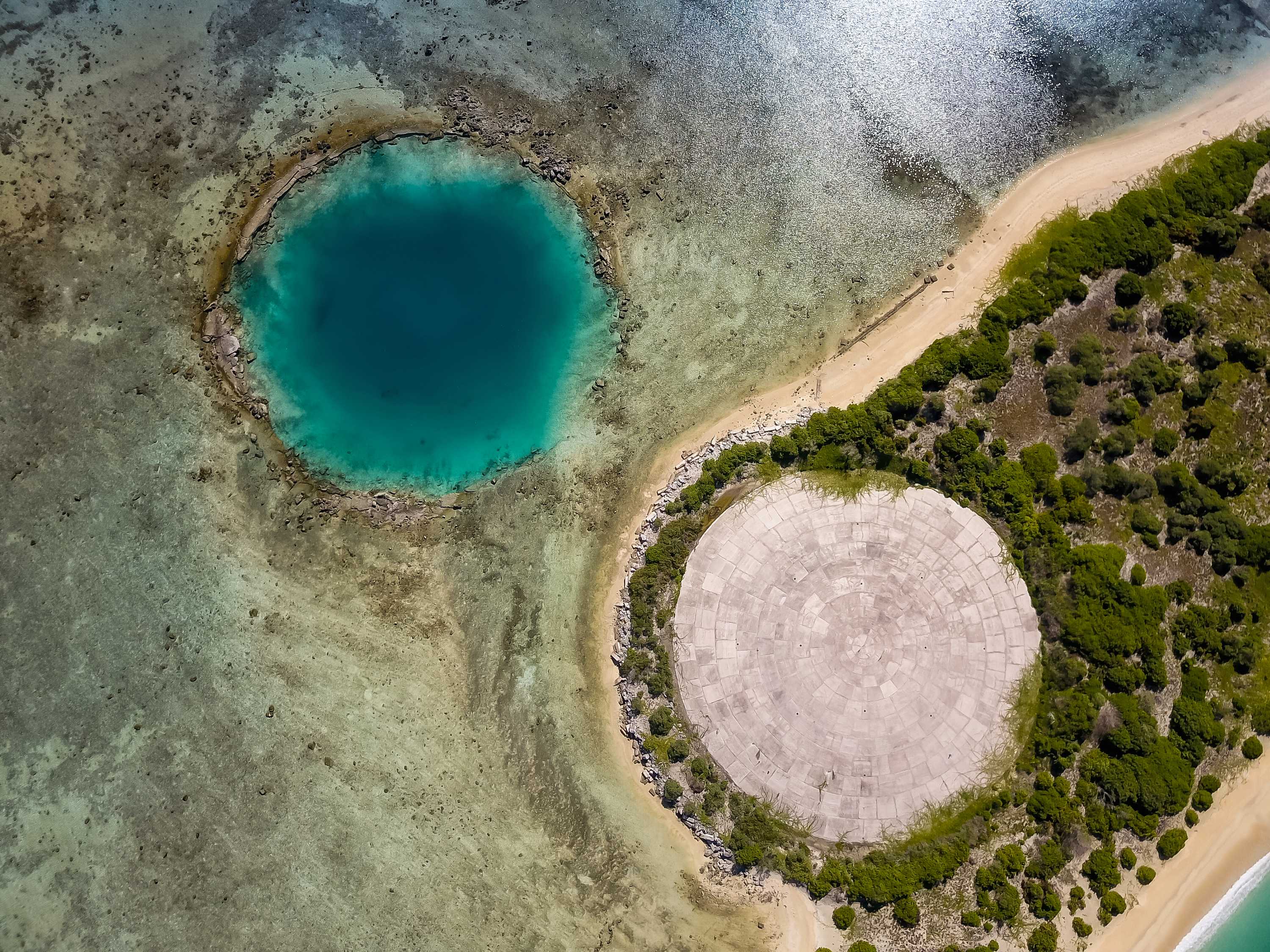 A poison in our island - ABC News