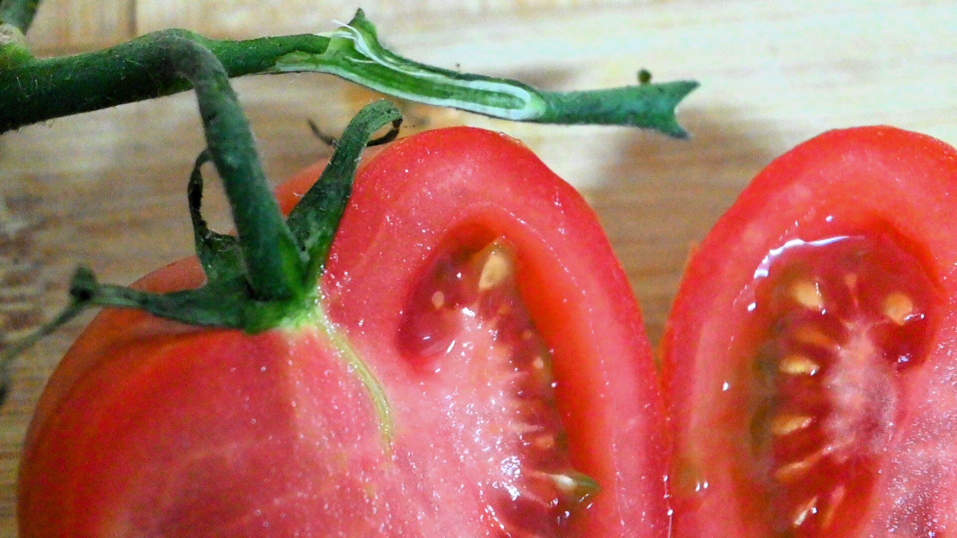 Tomato brown rugose fruit virus detected in Adelaide Plains crops - ABC ...