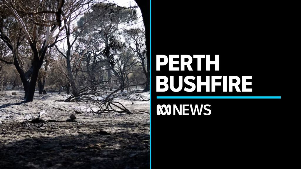 ABC News Channel live stream - ABC News