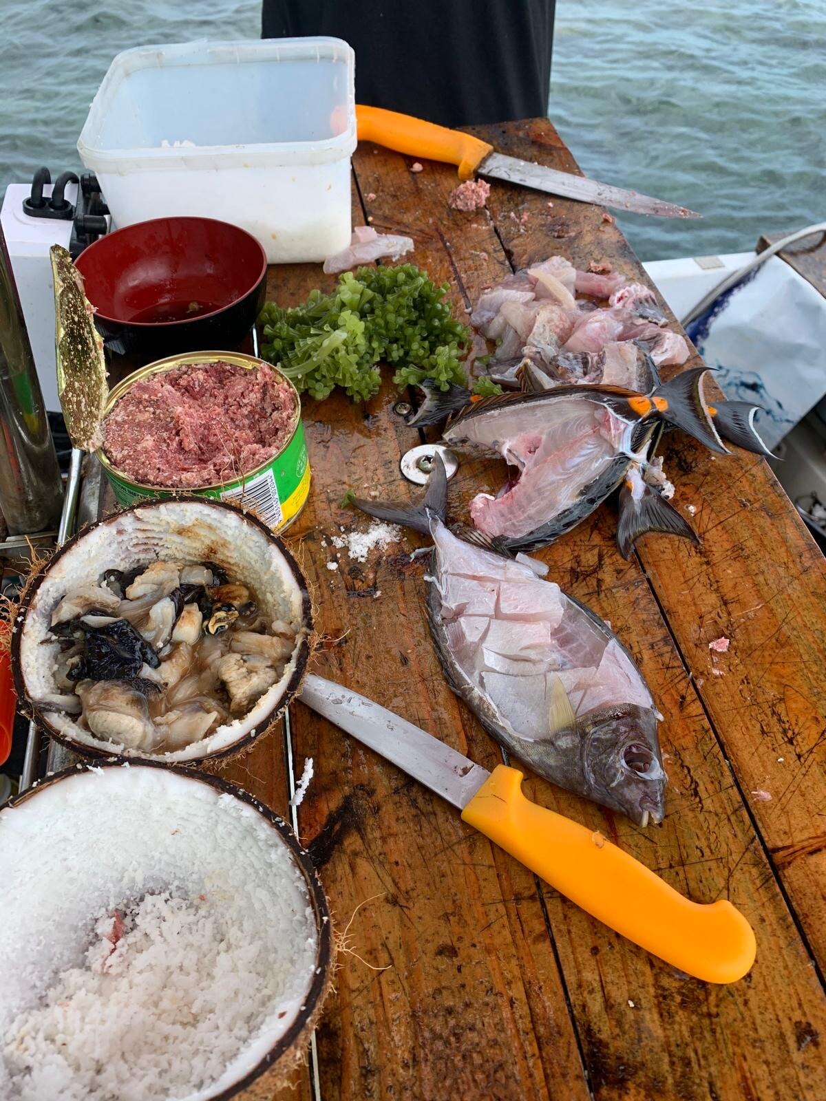 Myshaan's new track 'Angel' is a celebration of Pacific women - ABC Pacific