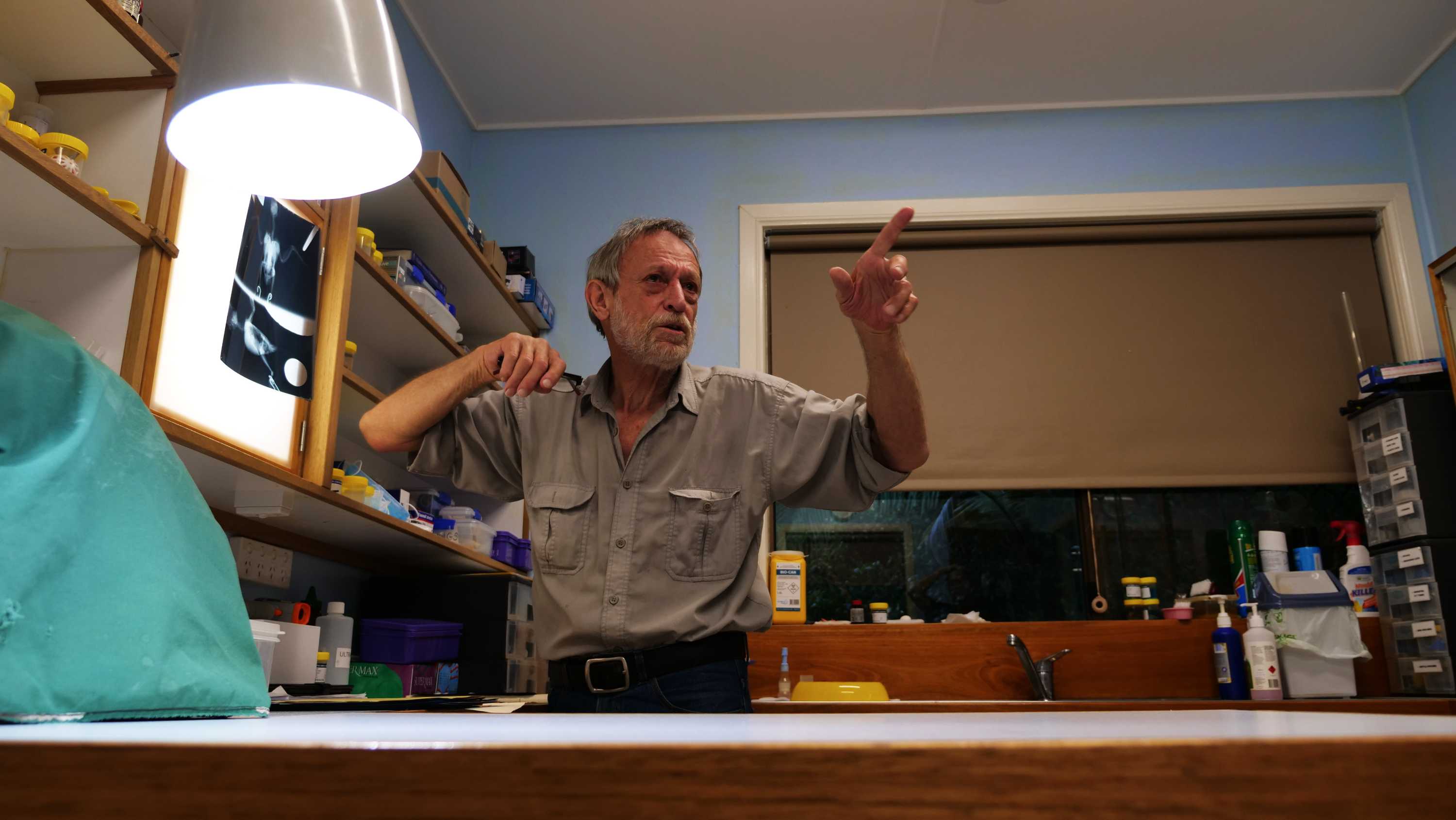 Currumbin Valley vet Peter Wilson has spent 30 years working in the ...