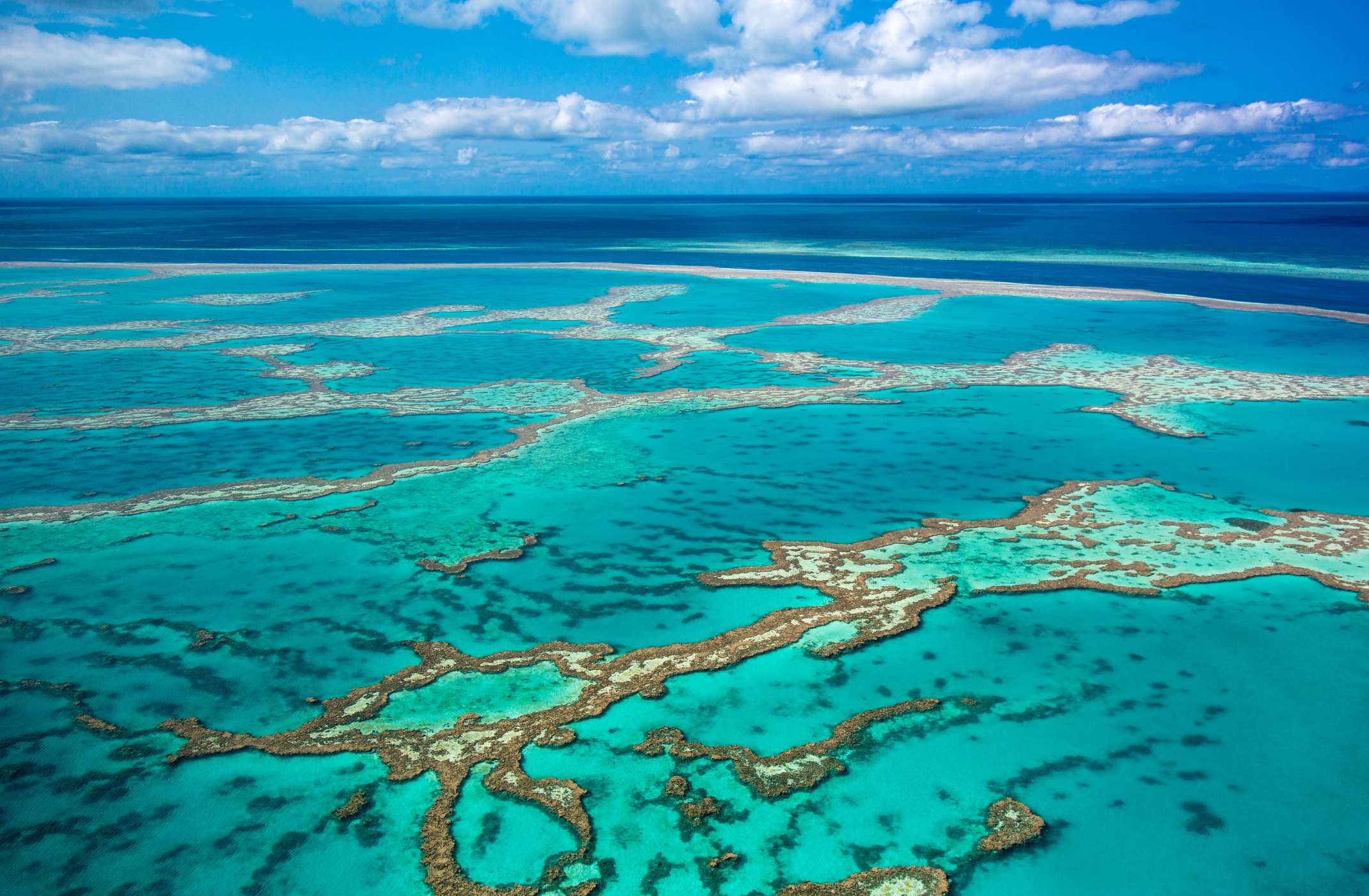 Great Barrier Reef could be at risk from billions of pieces of plastic ...