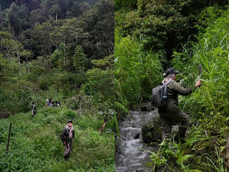 In Indonesia, women ranger teams go on patrol to slow deforestation ...