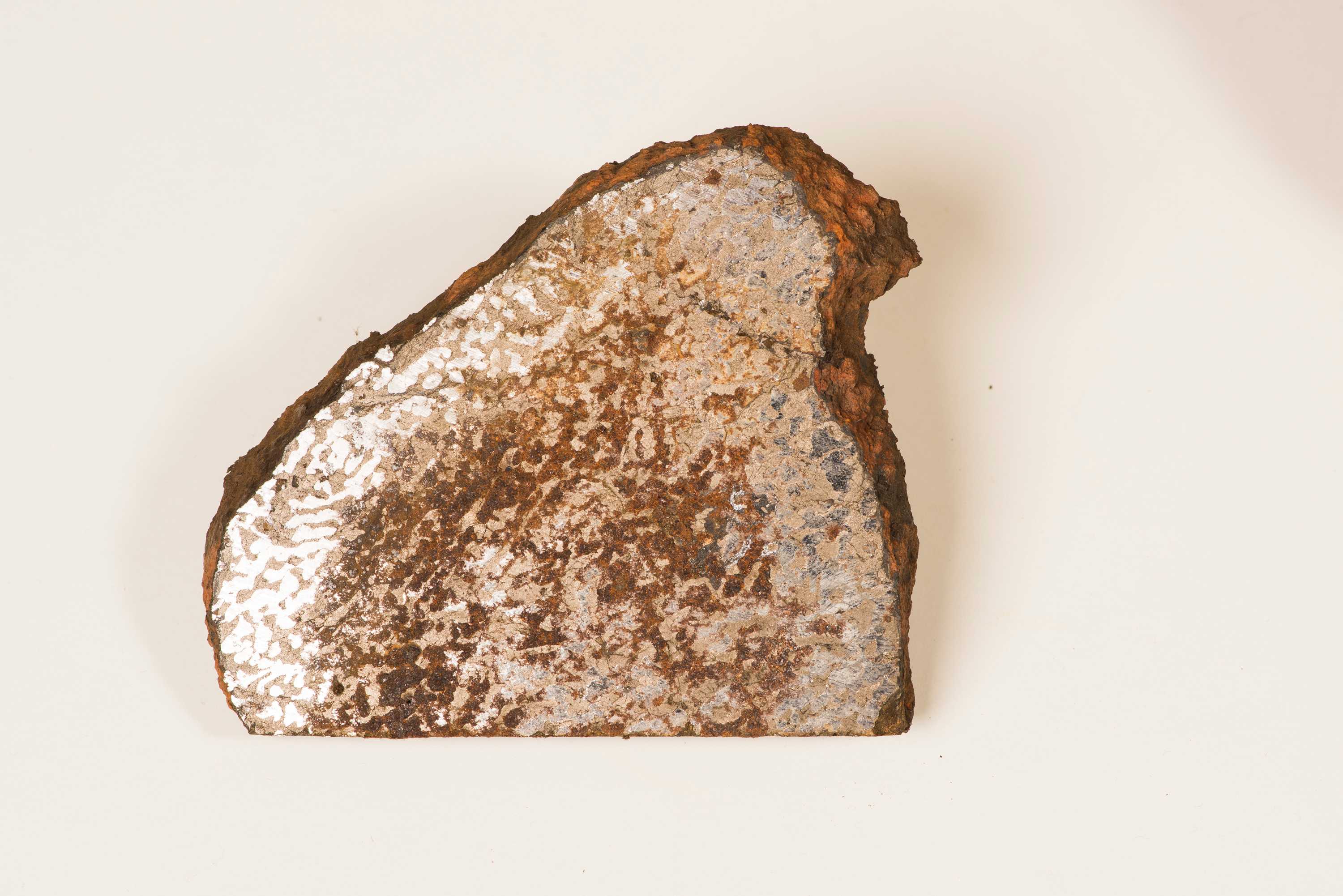Queensland Museum's new meteorite valued at $100,000 but priceless to ...